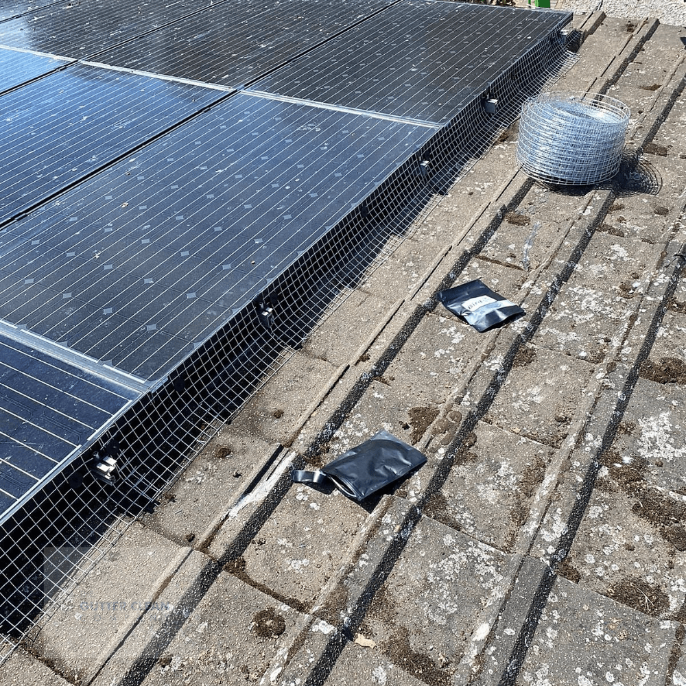 Pest Proofing Gallery | Call at us 0800 1799 363