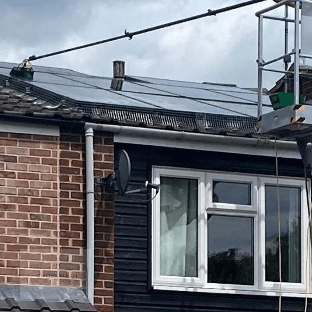 Pest Proofing Gallery | Call at us 0800 1799 363