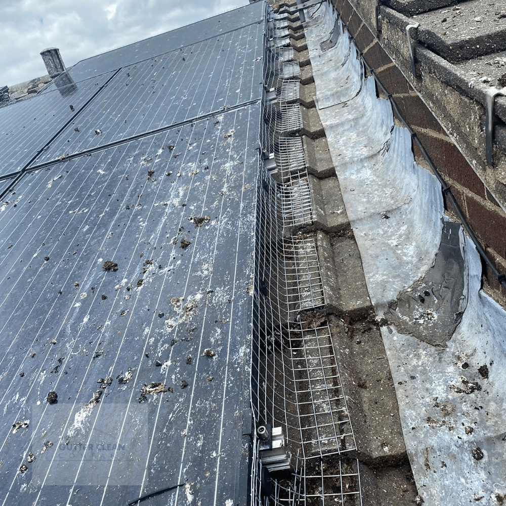 Pest Proofing Gallery | Call at us 0800 1799 363