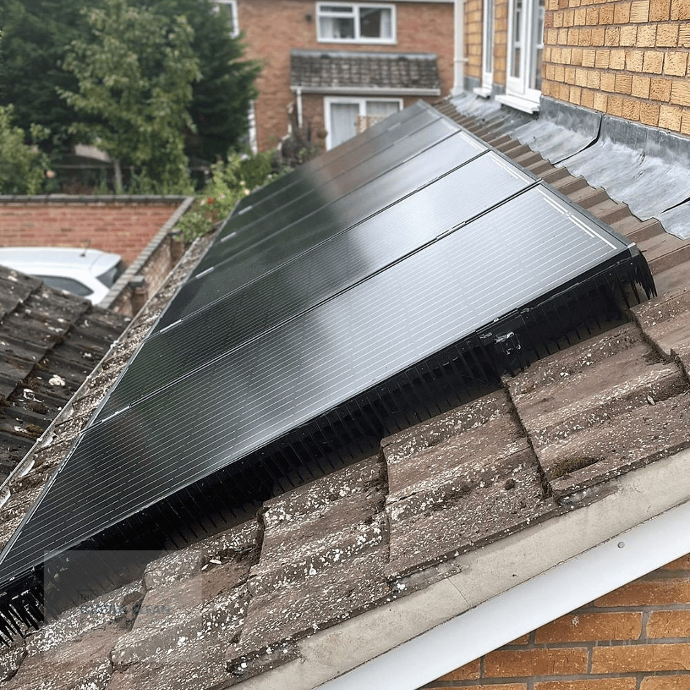 Pest Proofing Gallery | Call at us 0800 1799 363