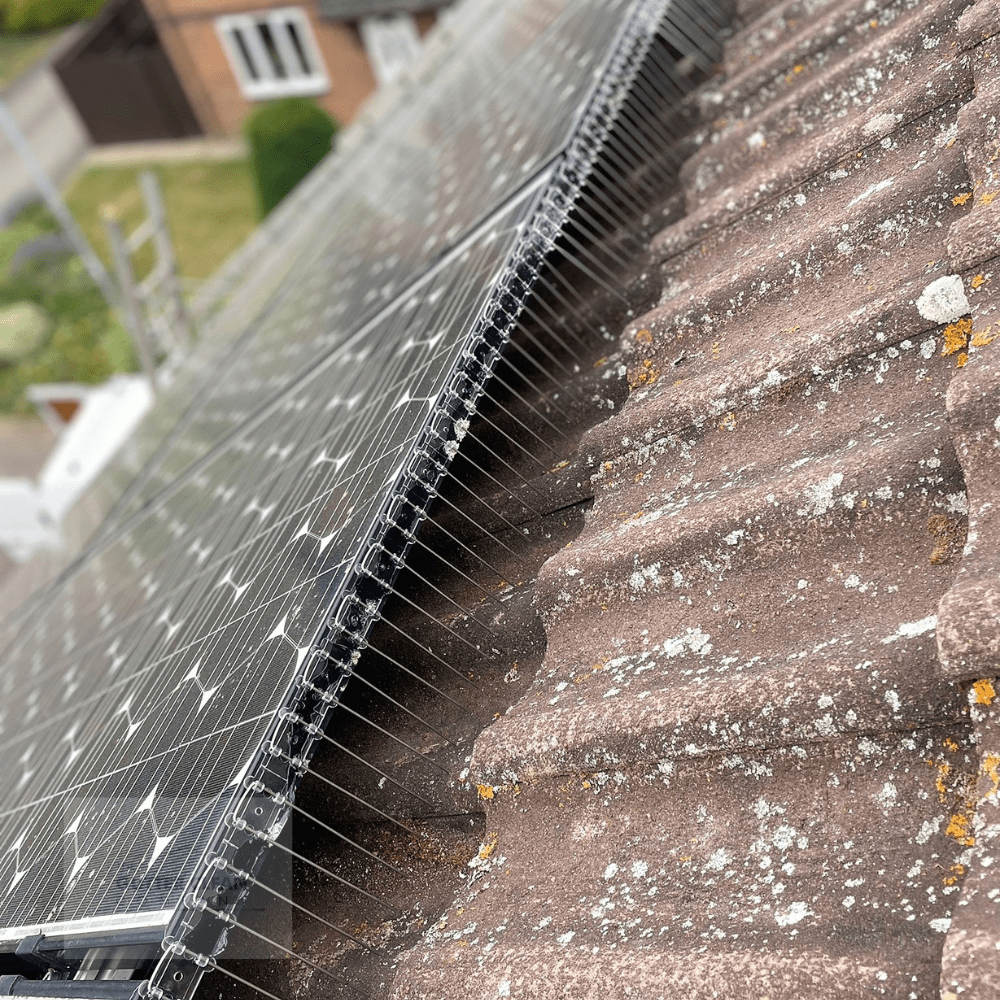 Pest Proofing Gallery | Call at us 0800 1799 363