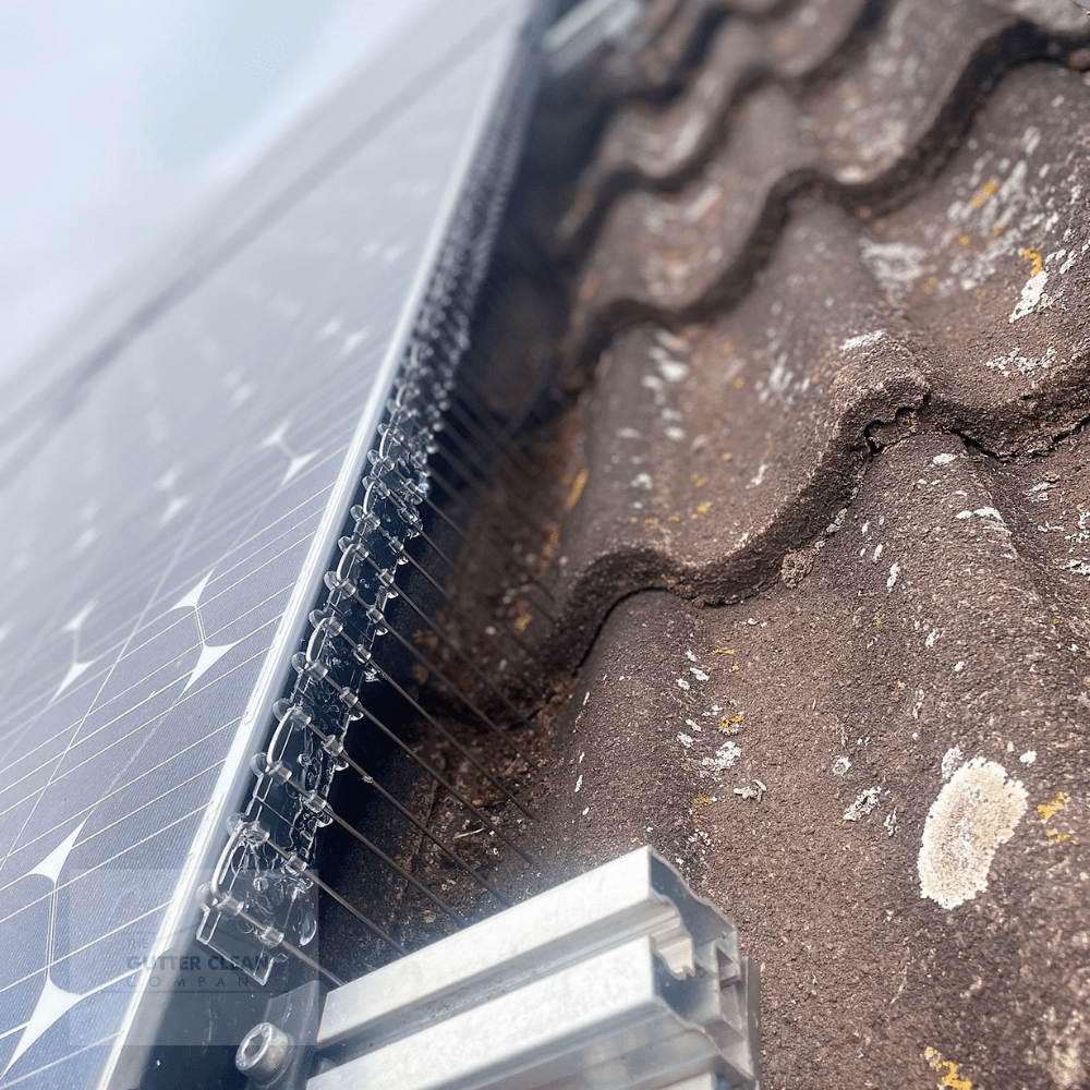 Pest Proofing Gallery | Call at us 0800 1799 363